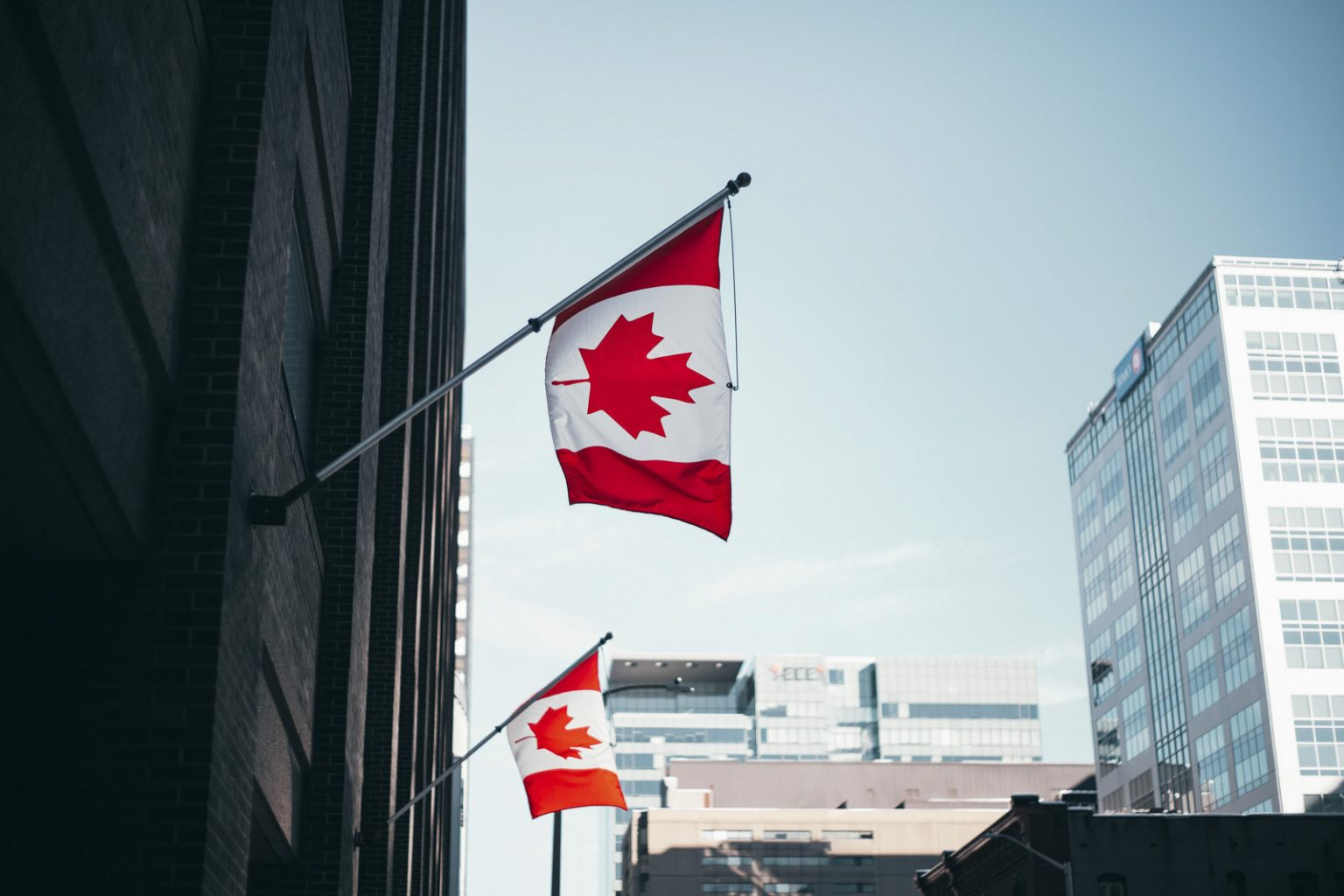 Comprehensive Ranking System Calculator - Bell Alliance